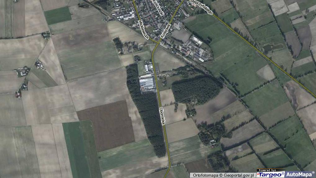 Obornicka Ryczywół, Ulica, 64-630